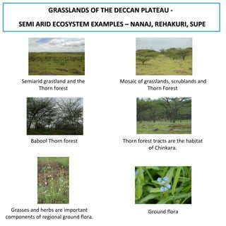 Maharashtra at a glance | PPT