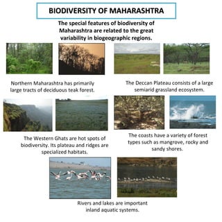 Maharashtra at a glance | PPT