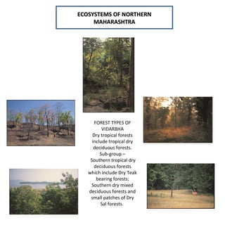 Maharashtra at a glance | PPT