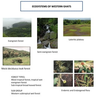 Maharashtra at a glance | PPT