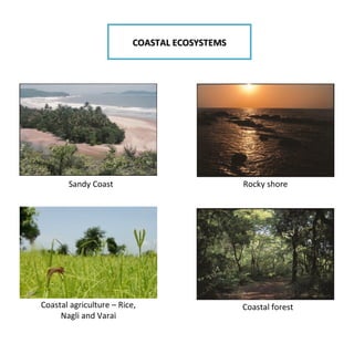 Maharashtra at a glance | PDF