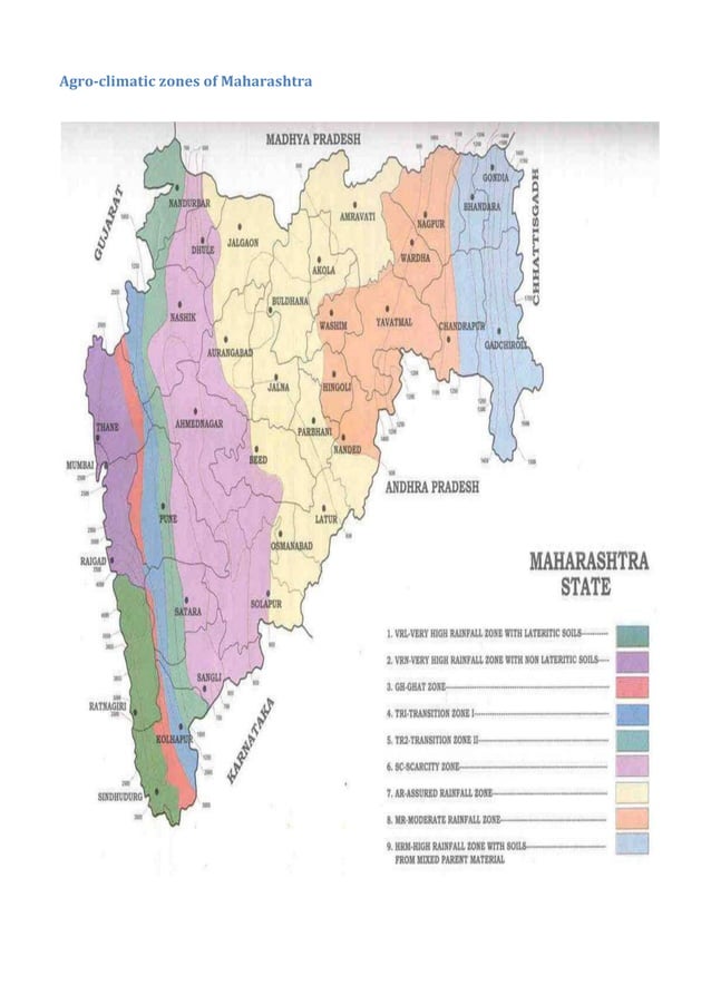 Maharashtra focus report | PDF