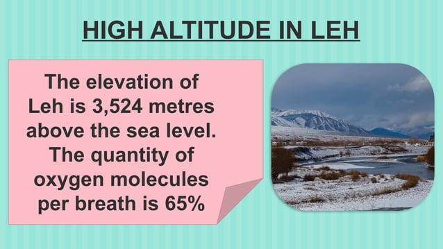 Class 10 physics ppt cbse internals project | PPT