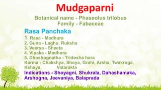 Mahathpanchamula | PPT