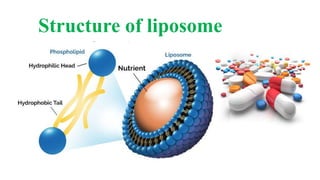 advanced drug delivery system of miconazole nitrate | PPTX