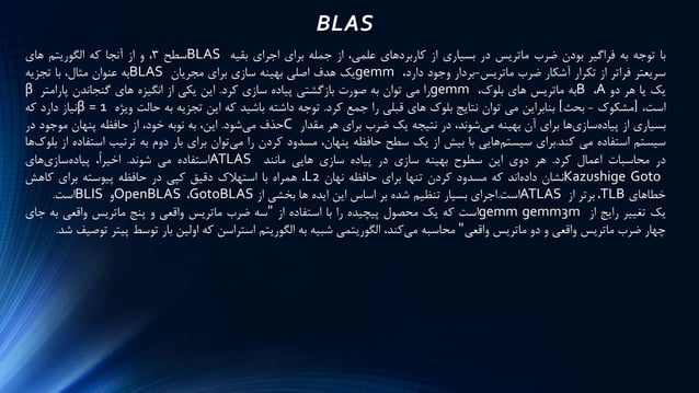 MahdiFarzam_Blas.pdf