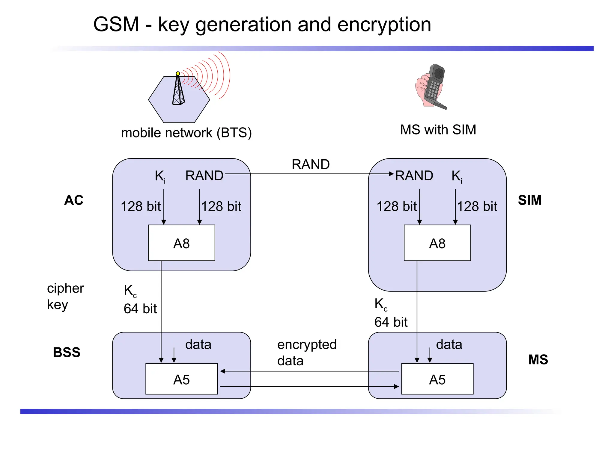 Mobile Wireless Telecommunication System Ppt