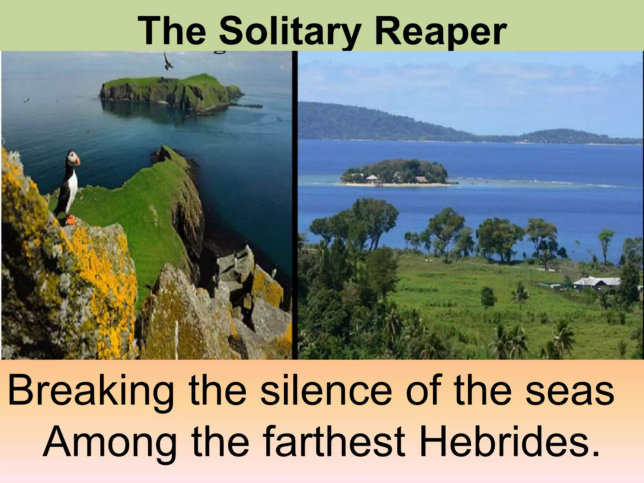 The Solitary Reaper | PPTX