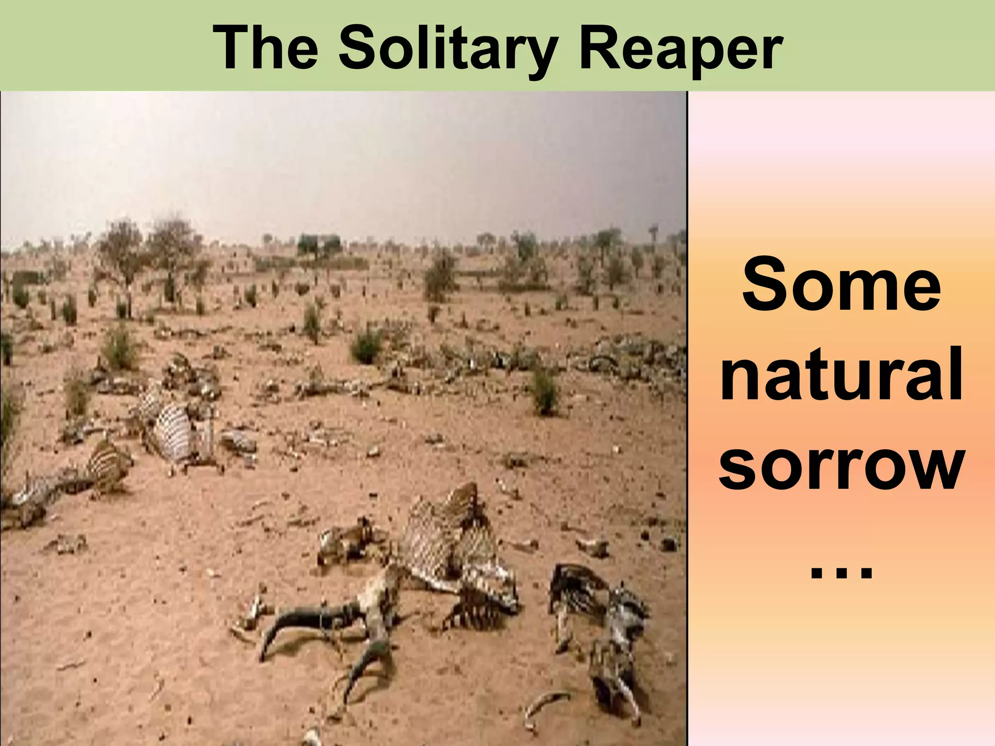 The Solitary Reaper | PPTX