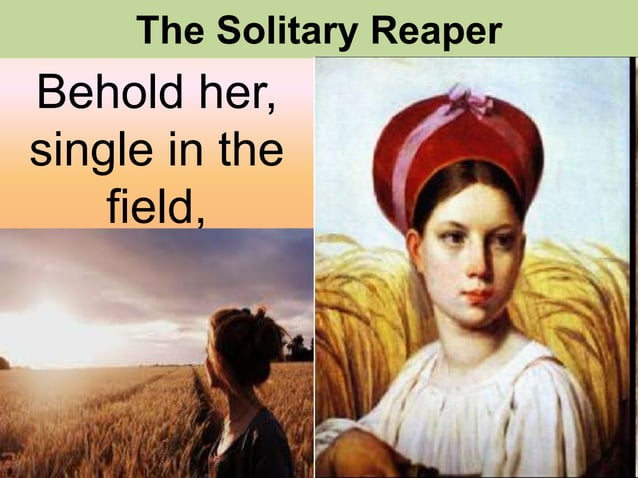 The Solitary Reaper | PPTX | Music | Entertainment