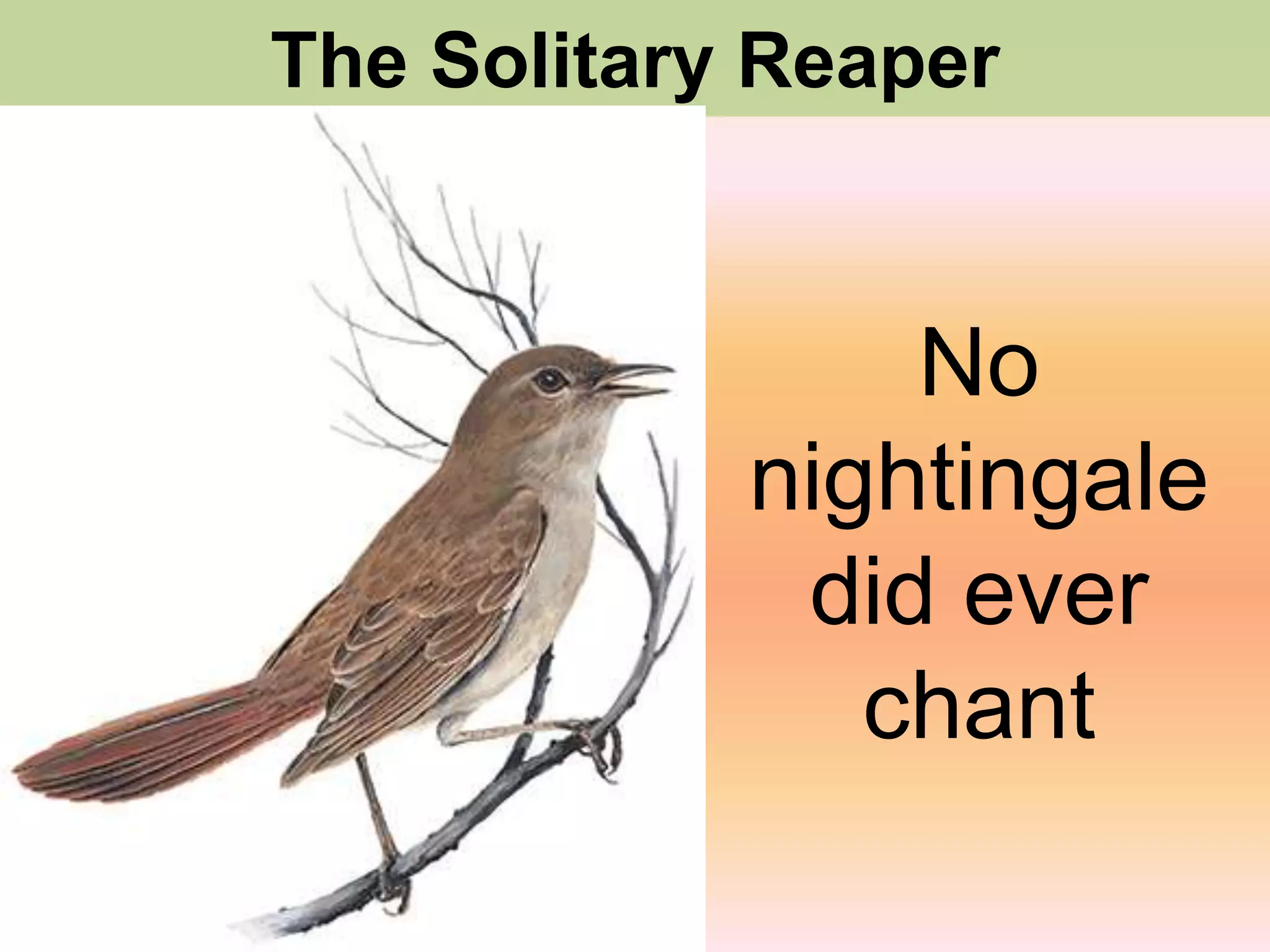 the solitary reaper | PPTX