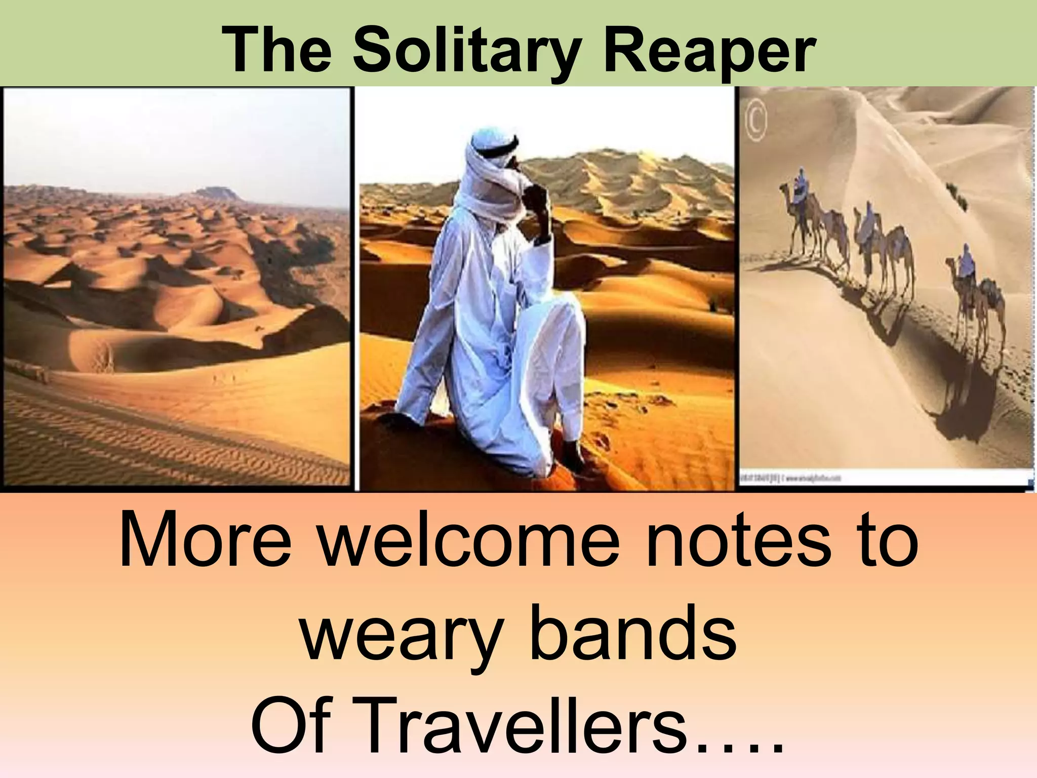 the solitary reaper | PPTX