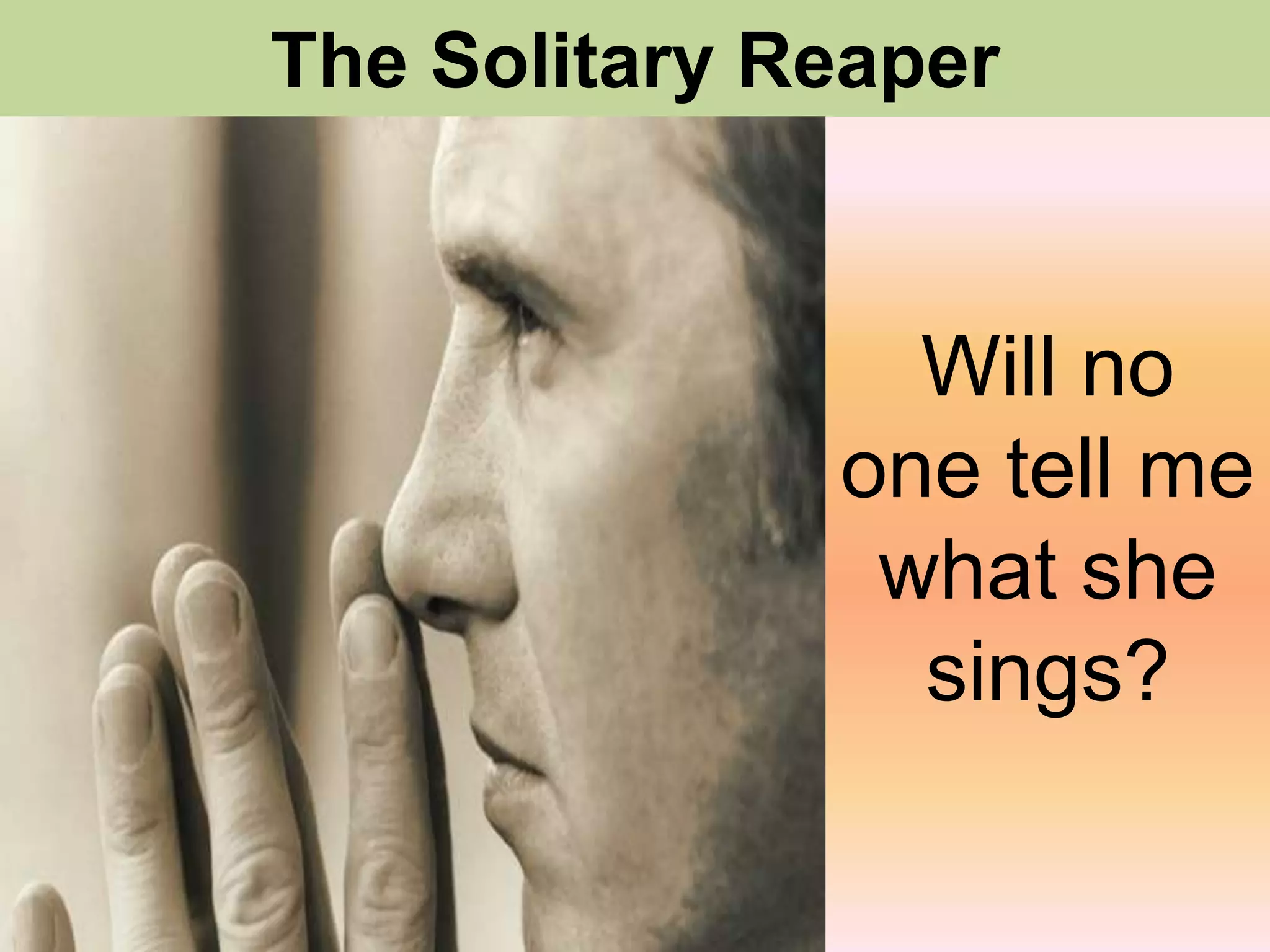 the solitary reaper | PPTX