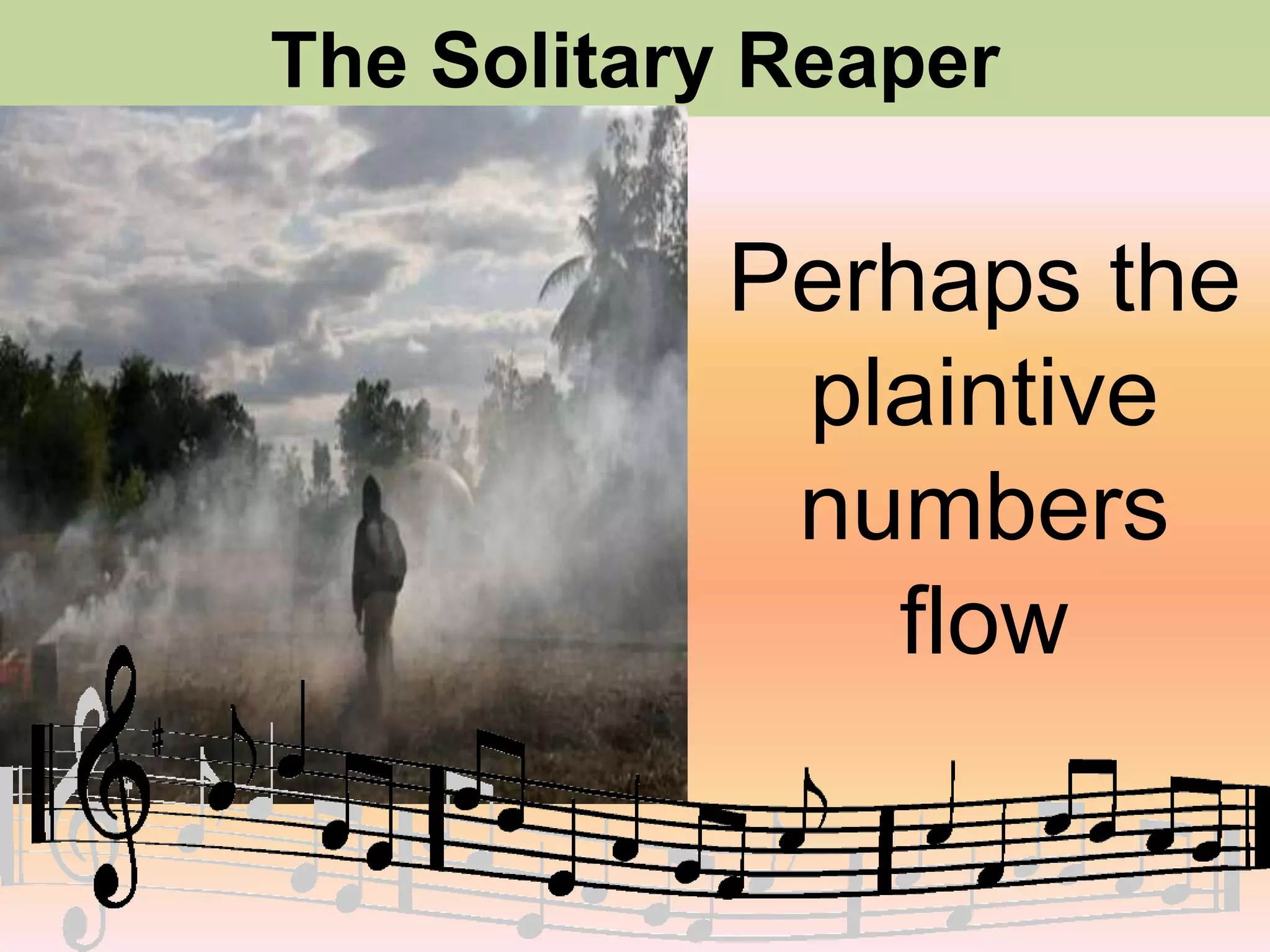the solitary reaper | PPTX