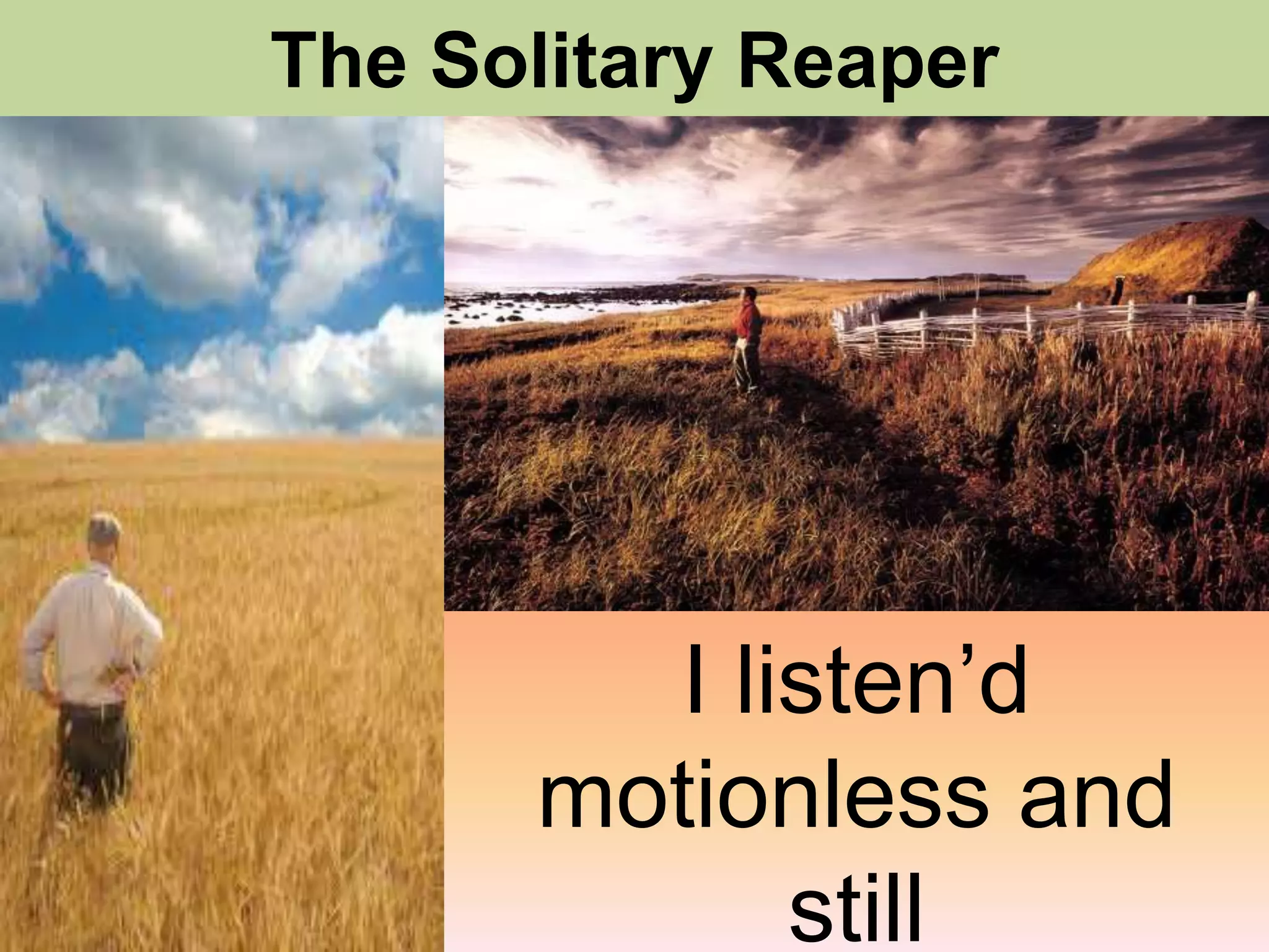 the solitary reaper | PPTX