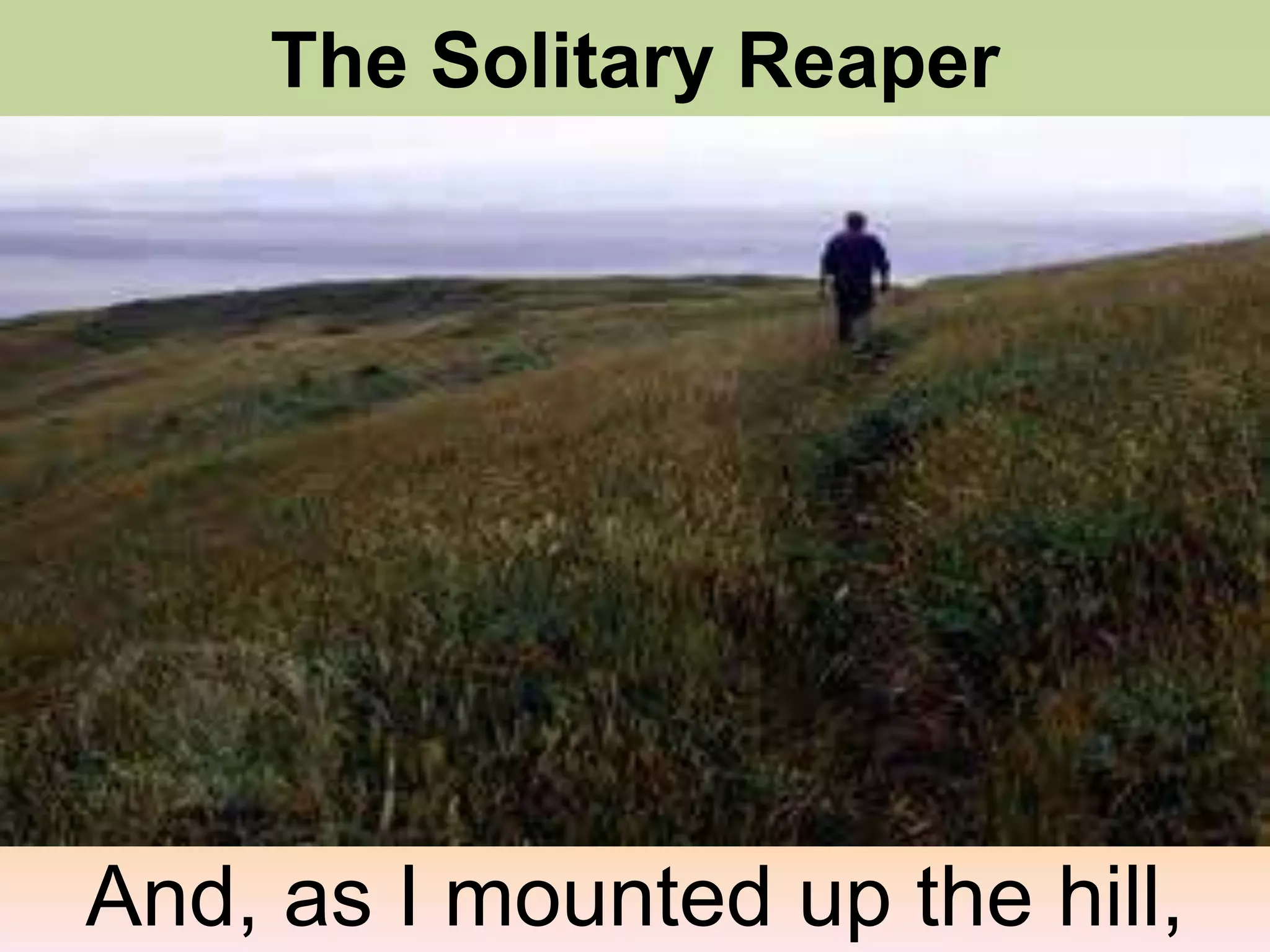 the solitary reaper | PPT