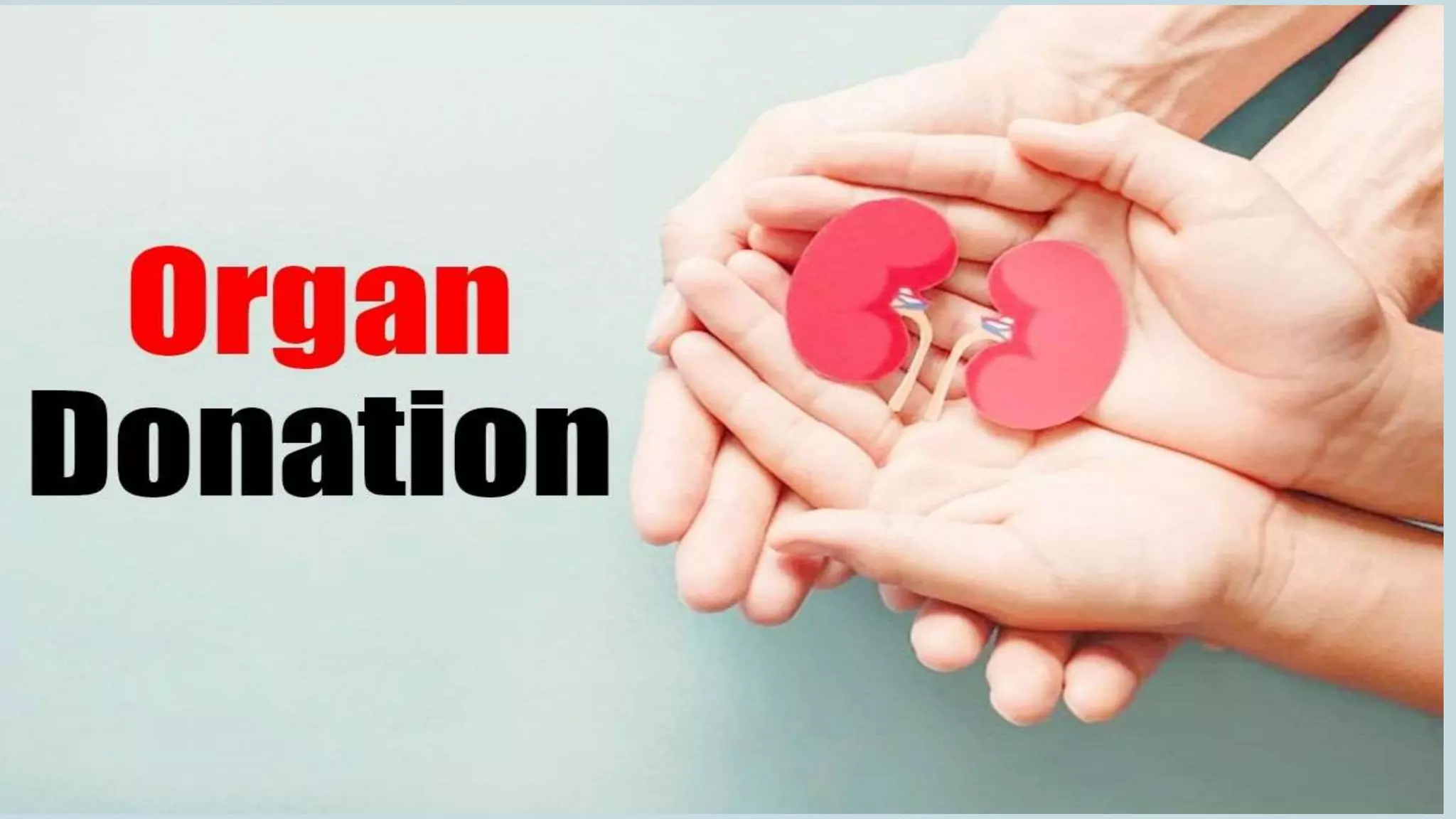 Organ donation pptx | PPTX