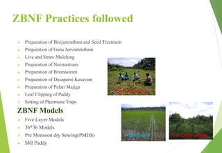 Zero Budget natural Farming | PPT