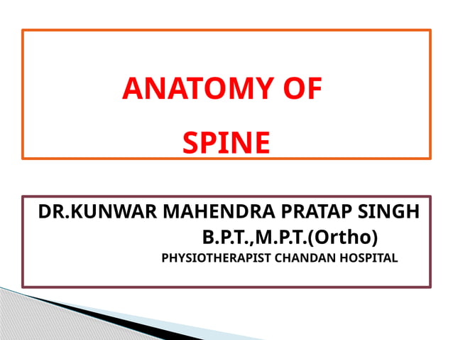 Anatomy of spine in short detail with name and classification nerve ...