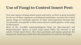 FUNGI AS BIOCONTROL AGENT.pptx