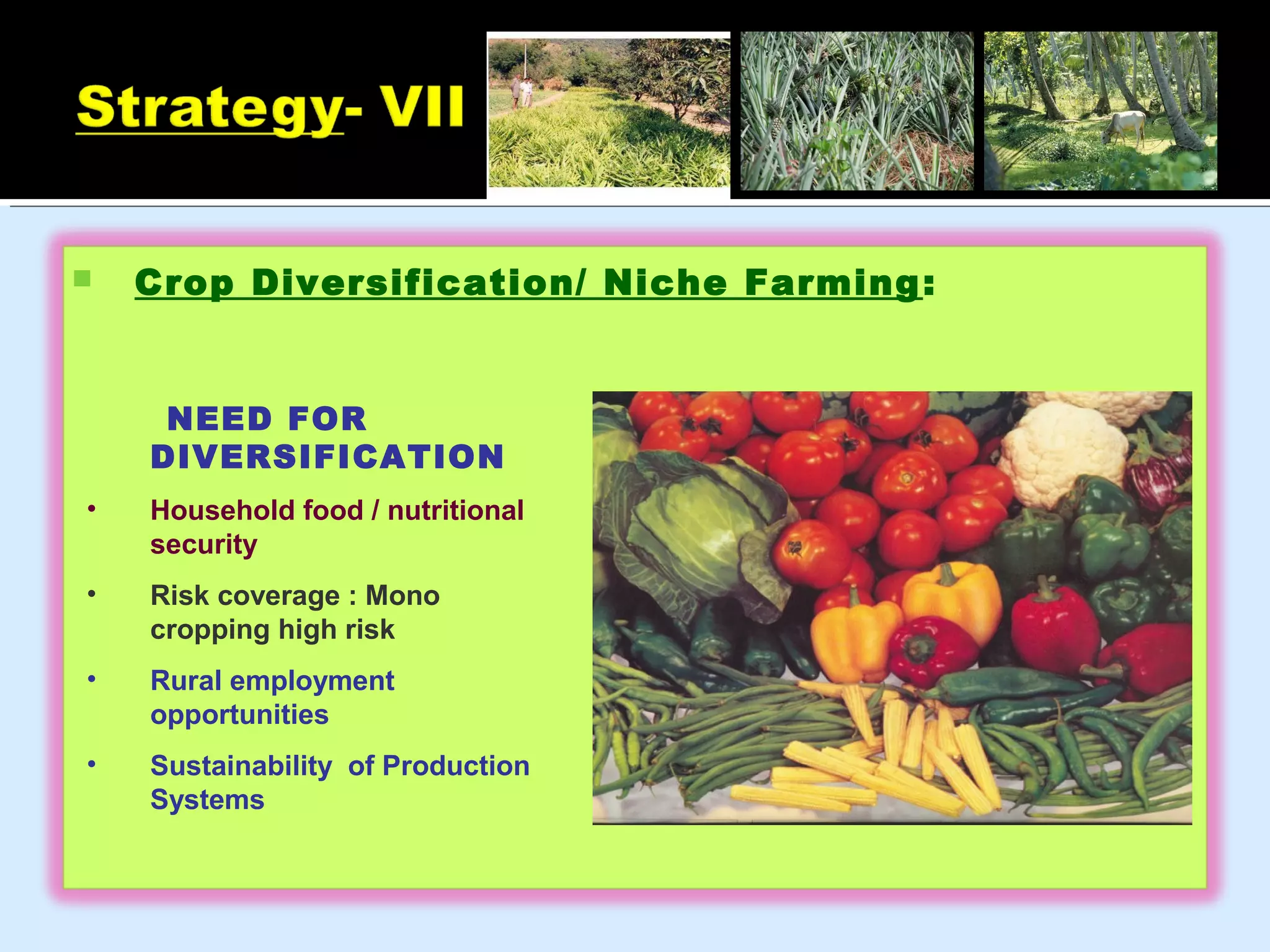 Good Agriculture Practices | PPT