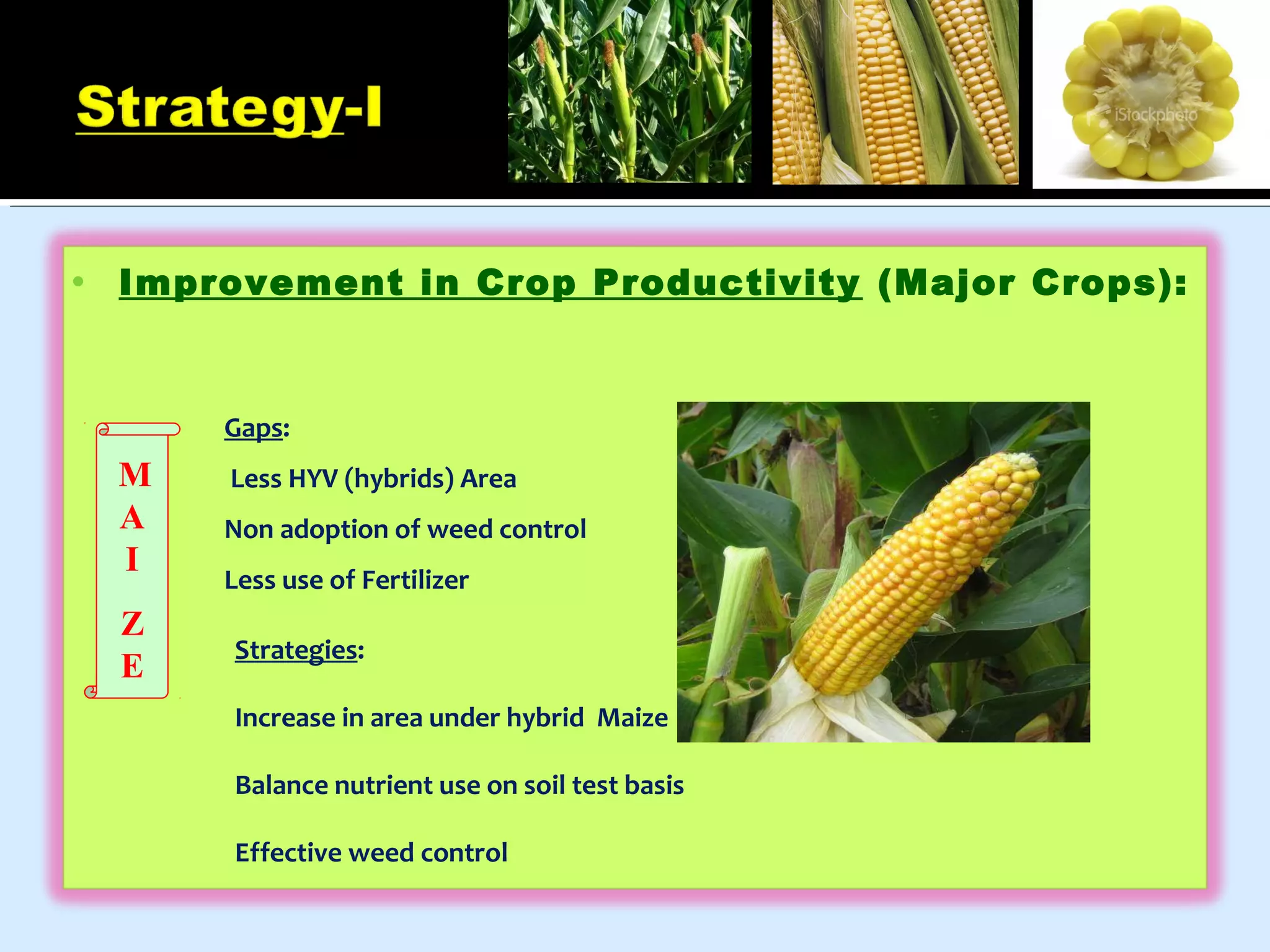 Good Agriculture Practices | PPT