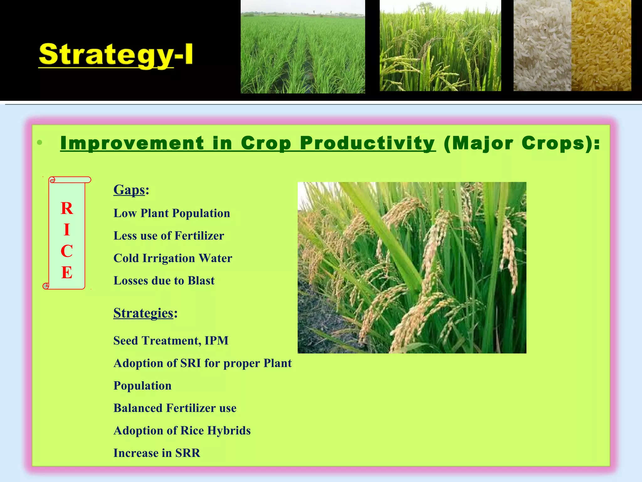Good Agriculture Practices | PPT