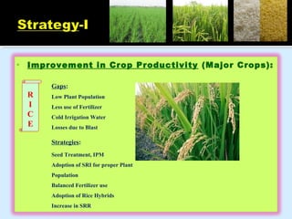 Good Agriculture Practices | PPT