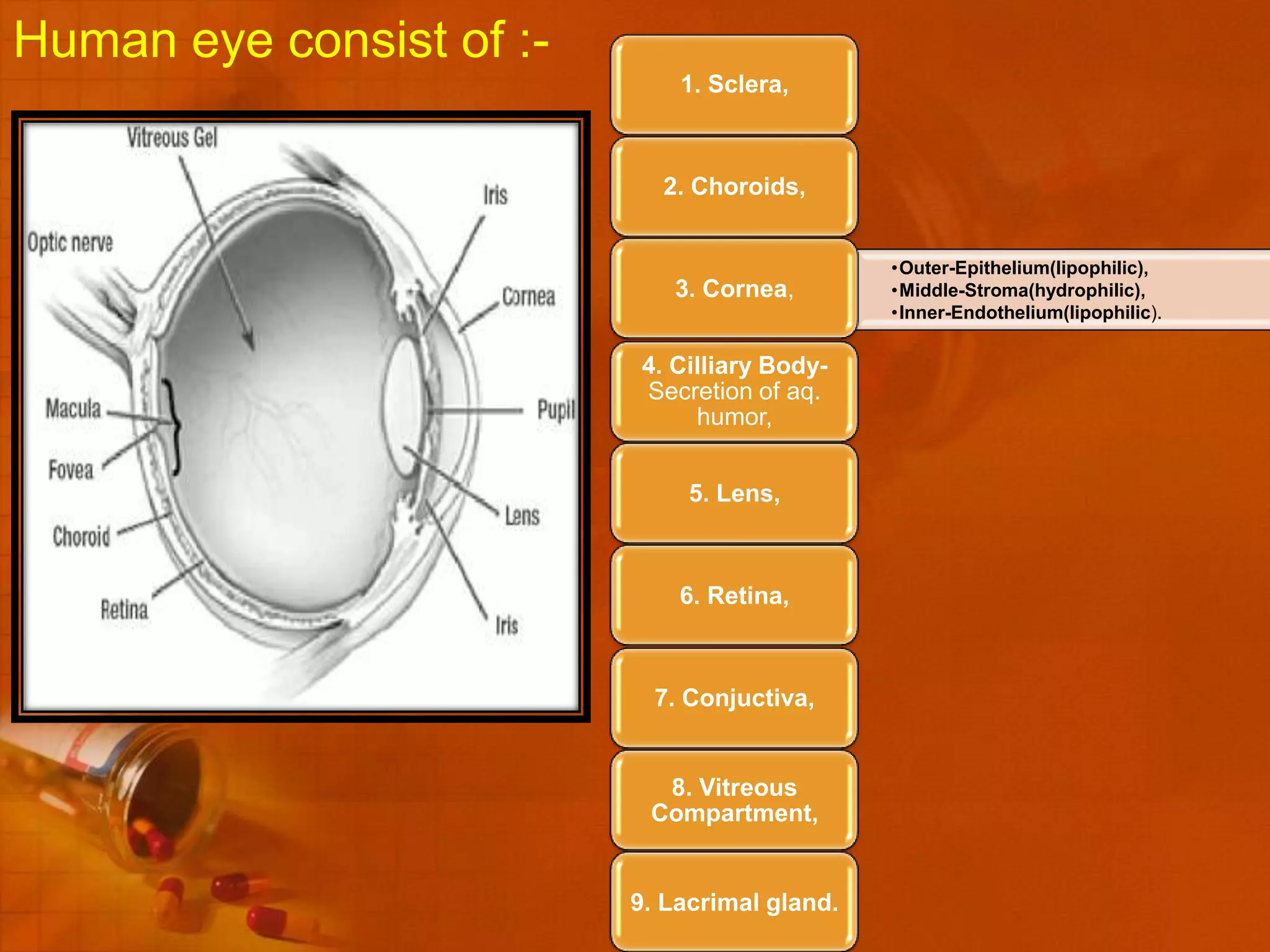 Ocular drug delivery system | PPTX