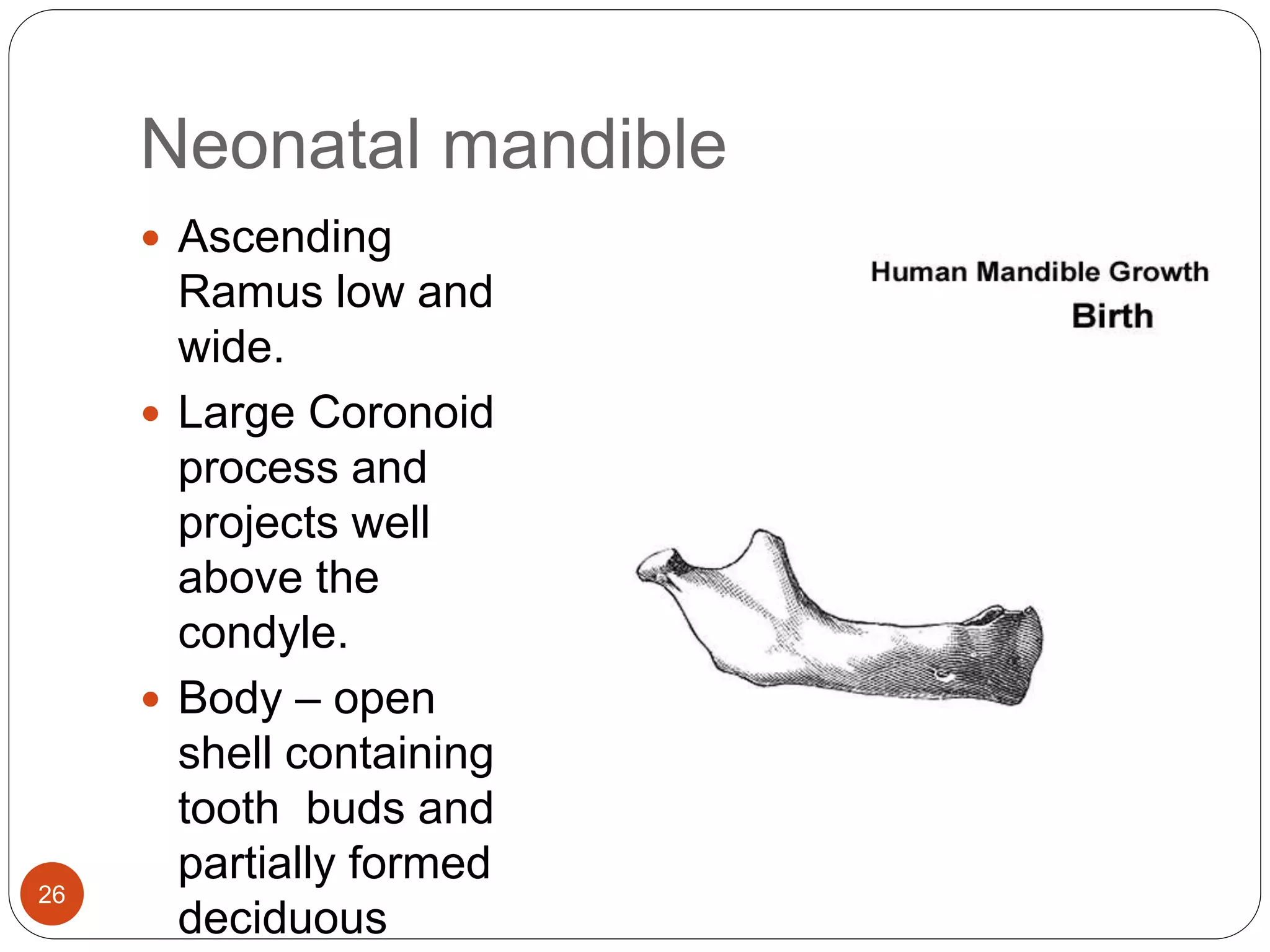 prenatal and post natal growth of mandible | PPTX