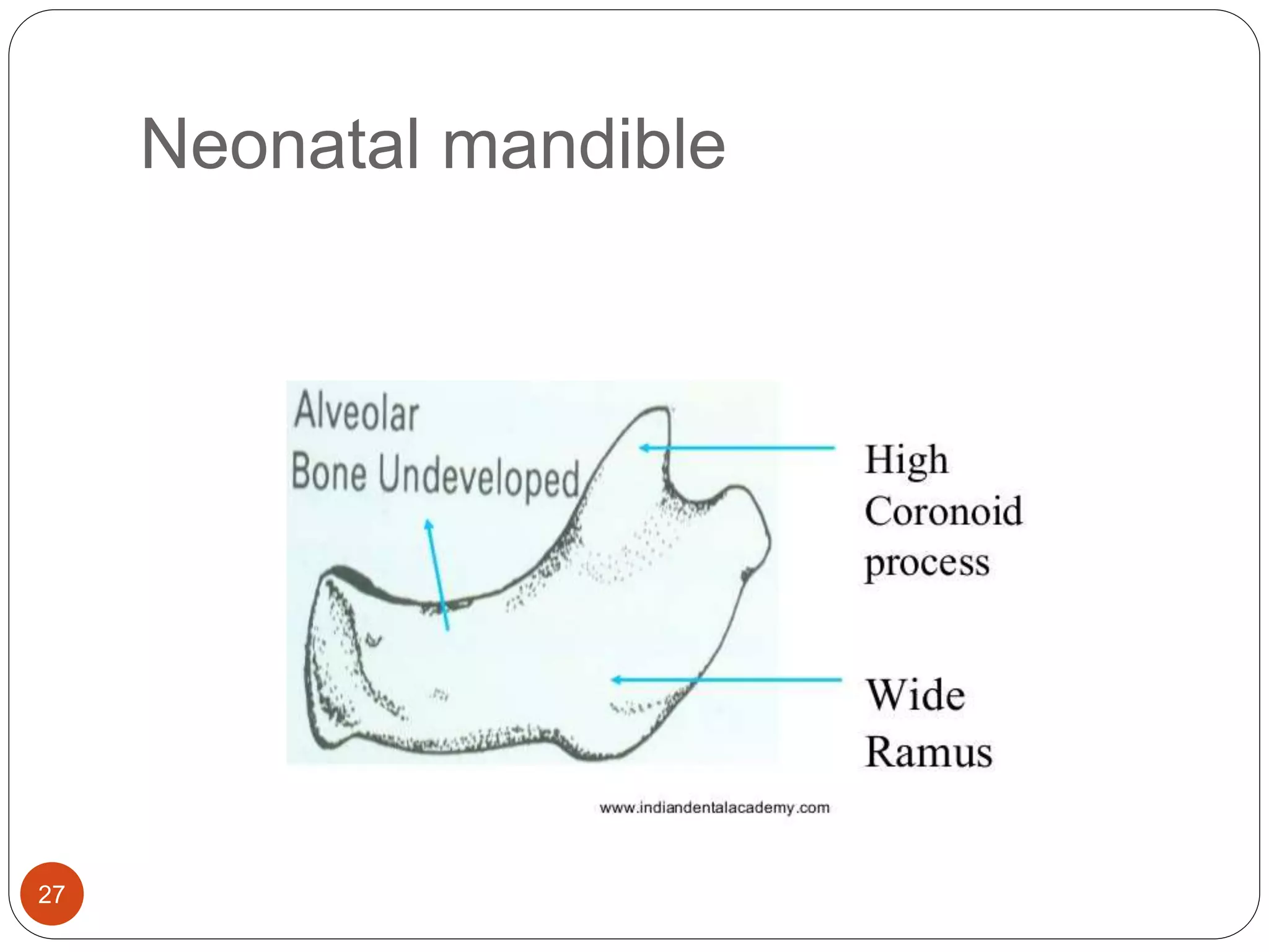 prenatal and post natal growth of mandible | PPTX