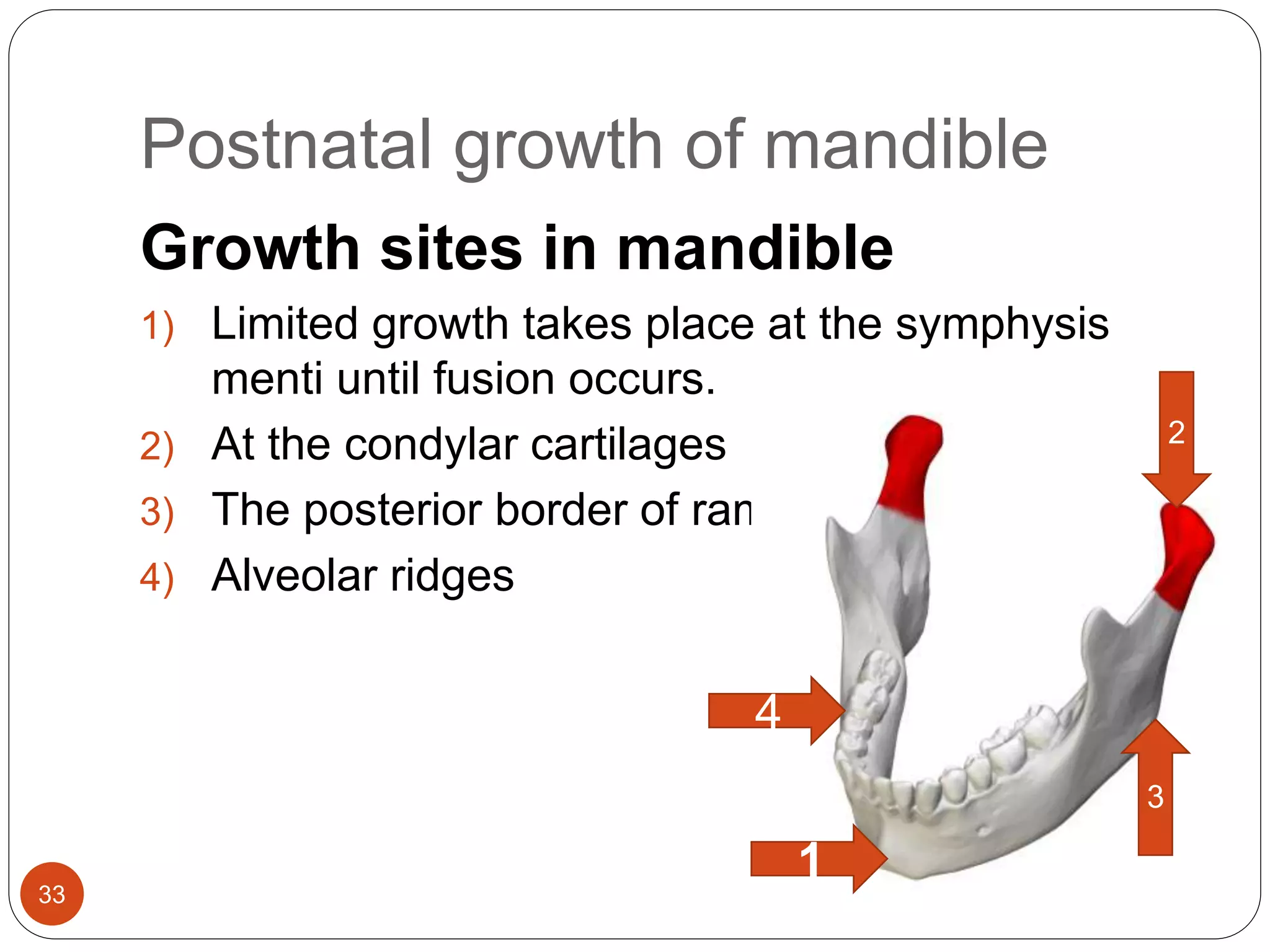 prenatal and post natal growth of mandible | PPTX