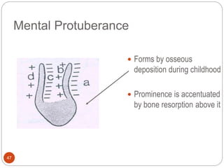 prenatal and post natal growth of mandible | PPTX