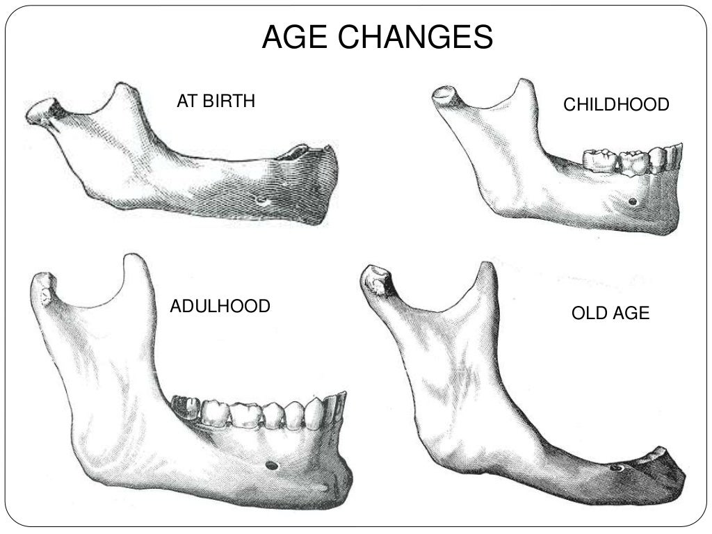 prenatal and post natal growth of mandible