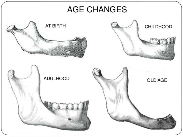 prenatal and post natal growth of mandible
