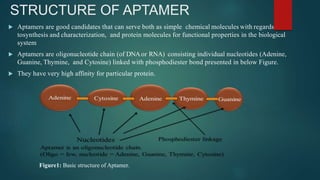 Aptamer :A Novel Therapeutic Oligonucleotide | PPT