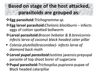 biological control through parasites and parasitoids in organic farming ...