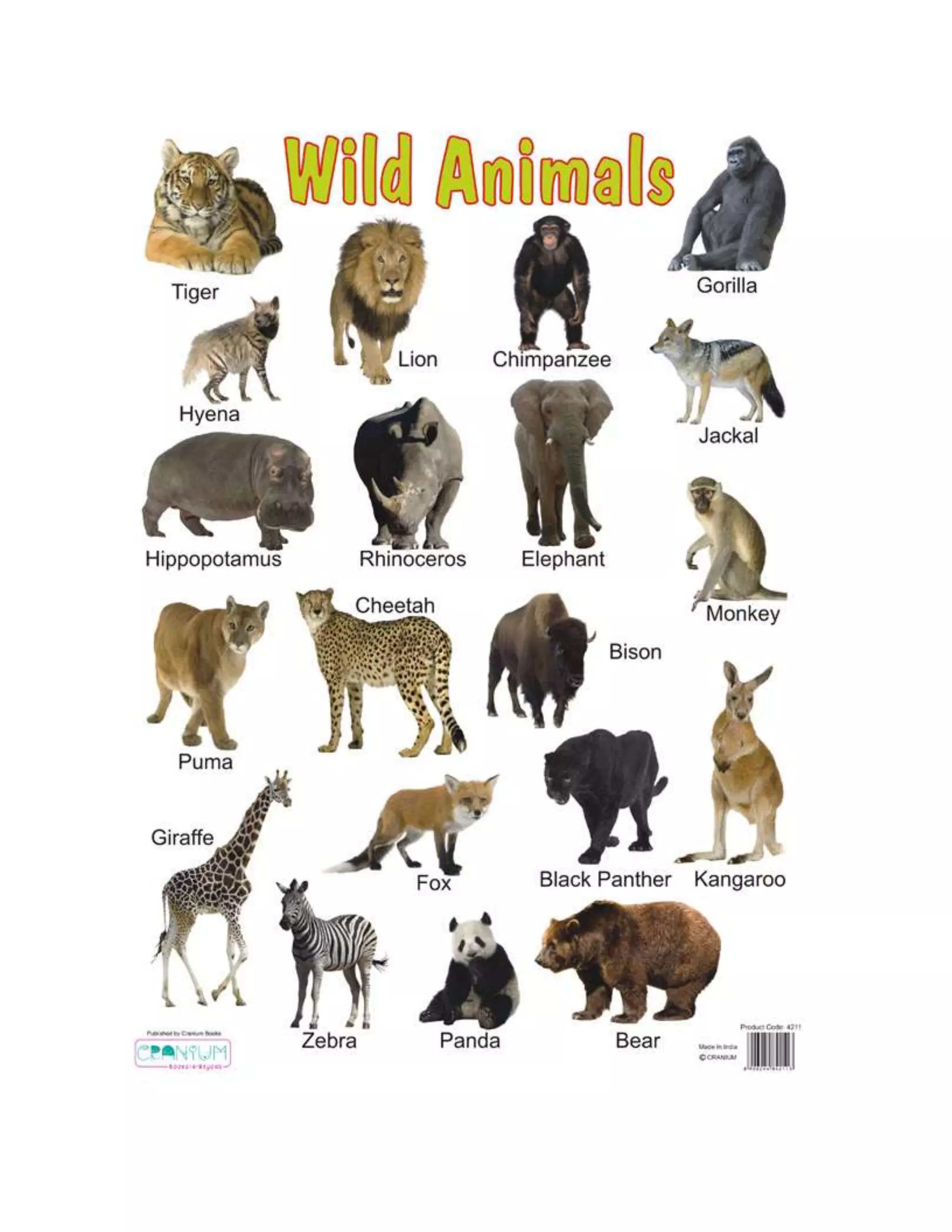 Mahi arabic holiday homework | DOCX