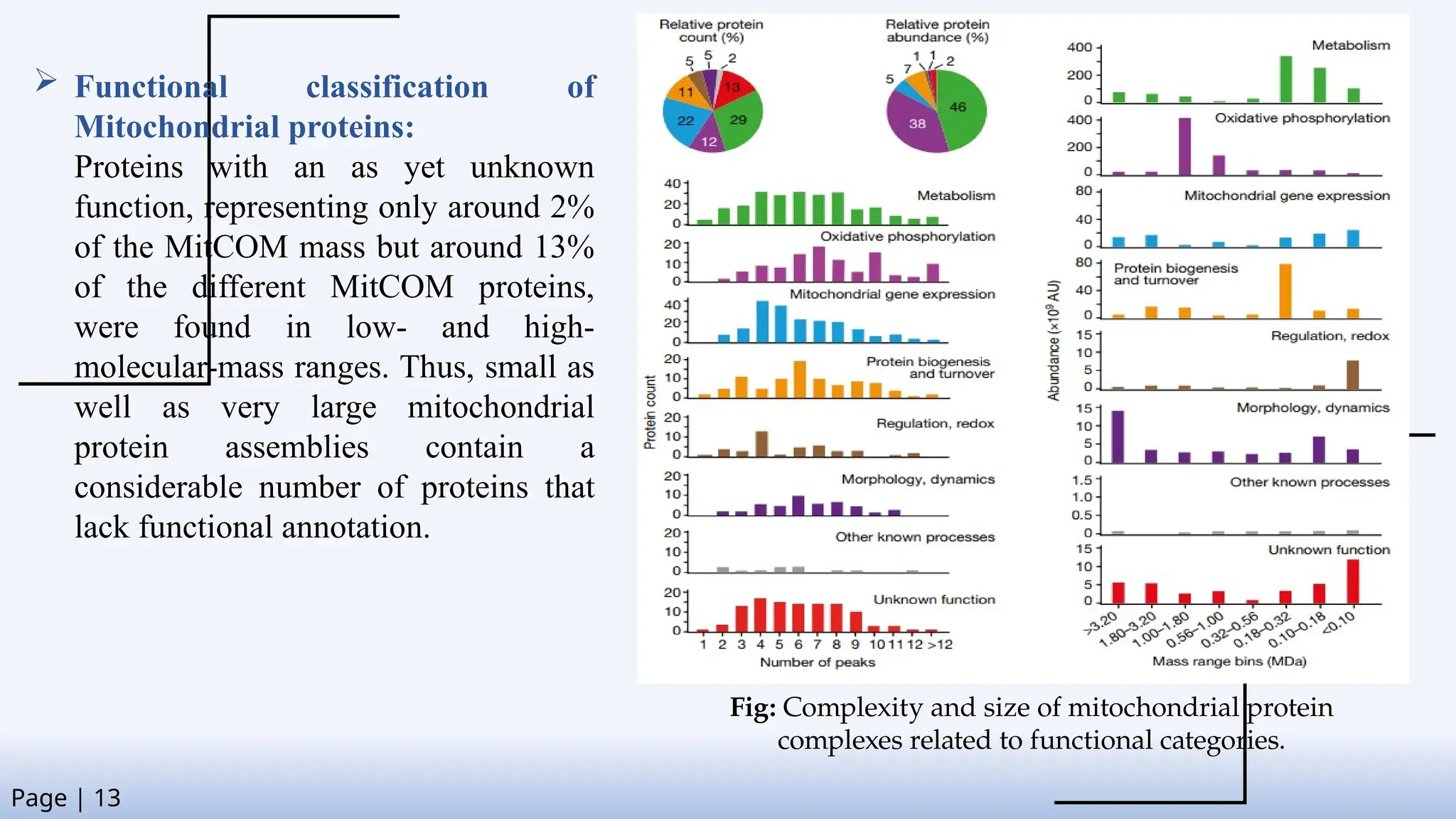 Mitochondrial complexome reveals quality-control pathways of protein ...