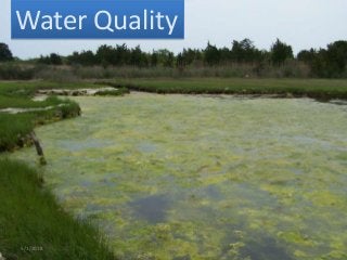 WATER QUALITY IN INDIA | PPTX