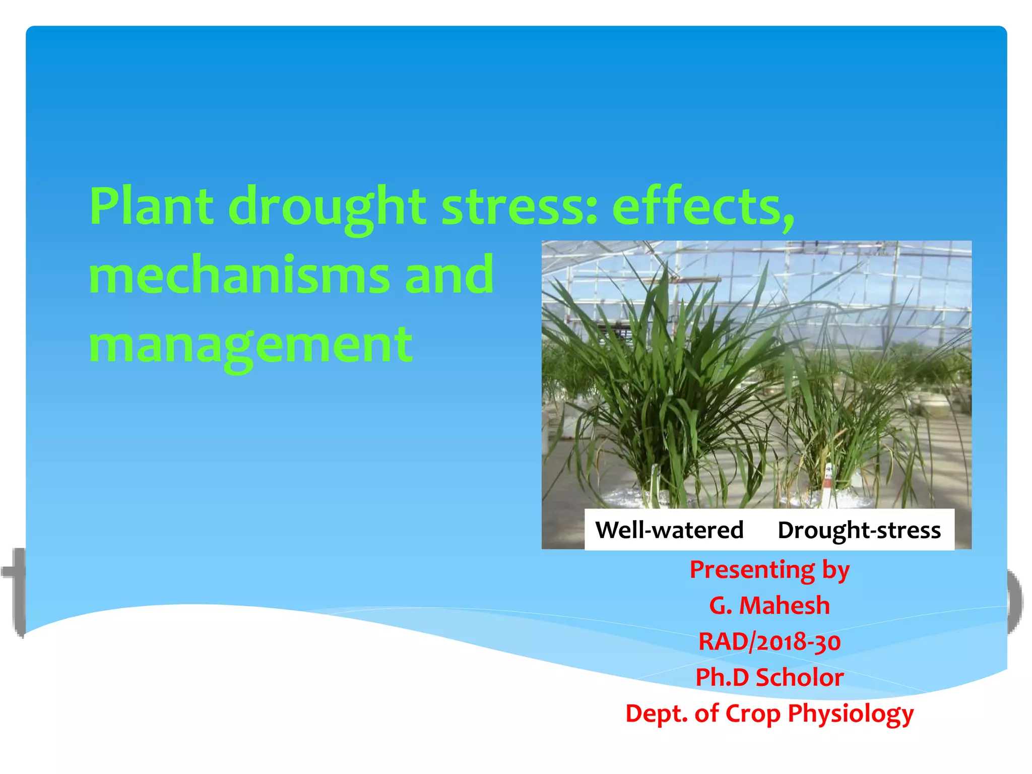 plant drought effects, mechanisms and management | PPTX