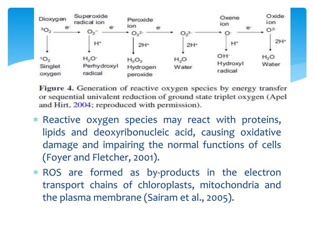 plant drought effects, mechanisms and management | PPTX | Agriculture ...