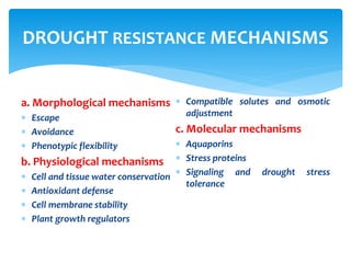 plant drought effects, mechanisms and management | PPTX