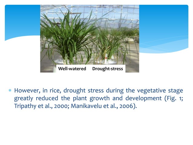 plant drought effects, mechanisms and management | PPTX | Agriculture ...