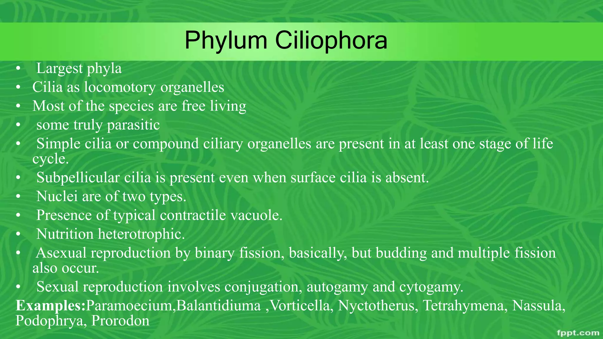 PROTOZOA -TAXONOMY, FEATURES AND CLASSIFICATIONS | PPTX