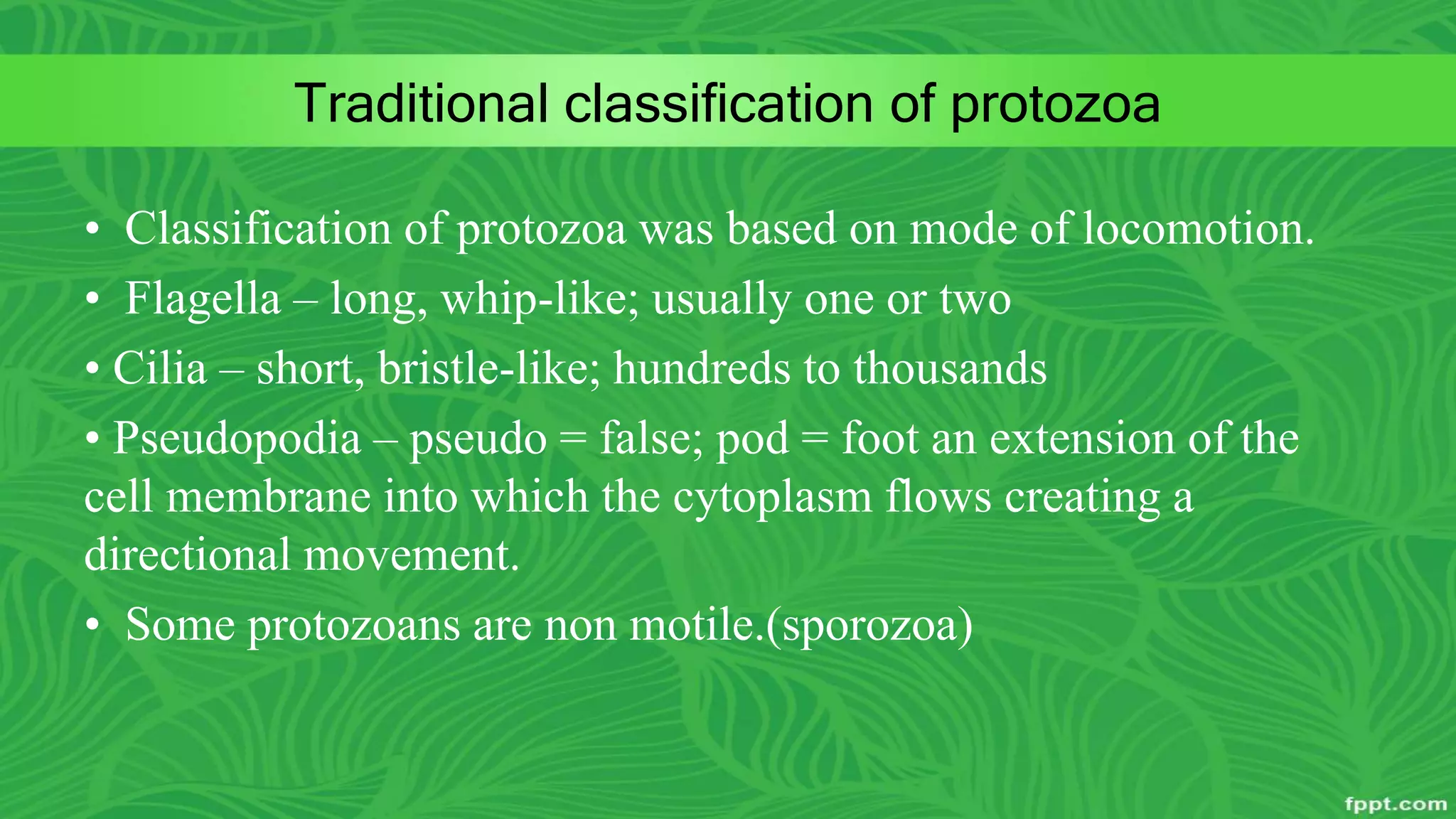 PROTOZOA -TAXONOMY, FEATURES AND CLASSIFICATIONS | PPTX