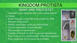PROTOZOA -TAXONOMY, FEATURES AND CLASSIFICATIONS | PPTX
