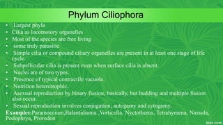 PROTOZOA -TAXONOMY, FEATURES AND CLASSIFICATIONS | PPTX