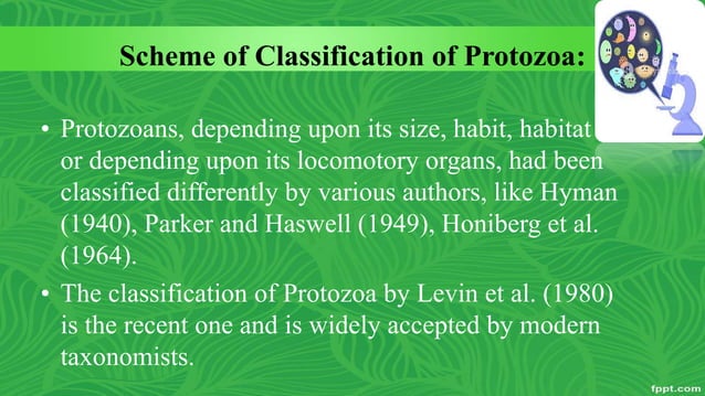 PROTOZOA -TAXONOMY, FEATURES AND CLASSIFICATIONS | PPTX | Biological ...