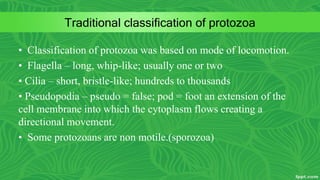 PROTOZOA -TAXONOMY, FEATURES AND CLASSIFICATIONS | PPTX